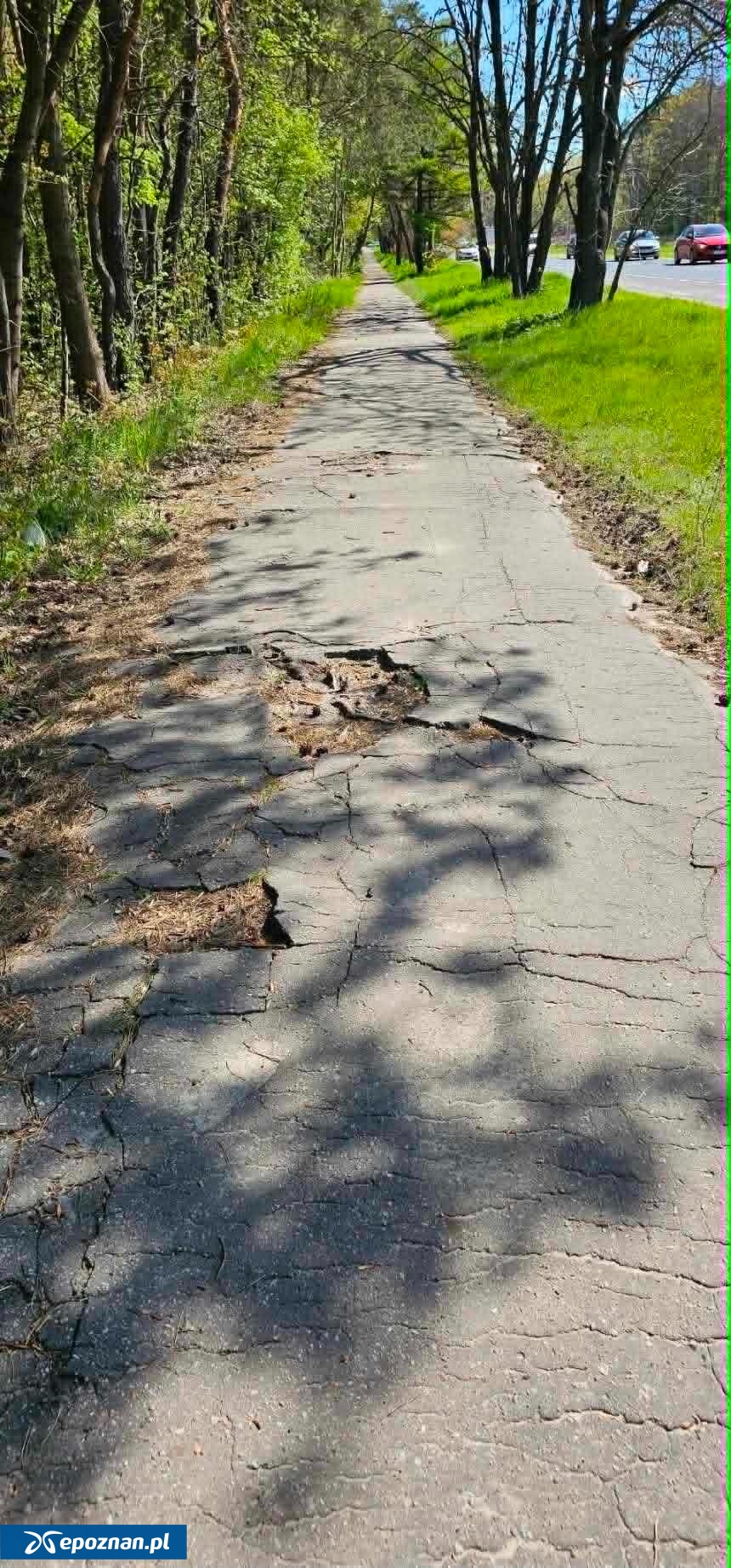 Dojście do poznańskiego cmentarza w fatalnym stanie. Nie ma pieniędzy ...